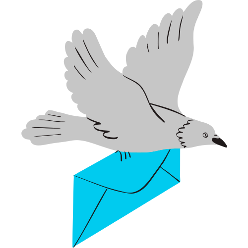 Home – Solid & Soft Dropbox